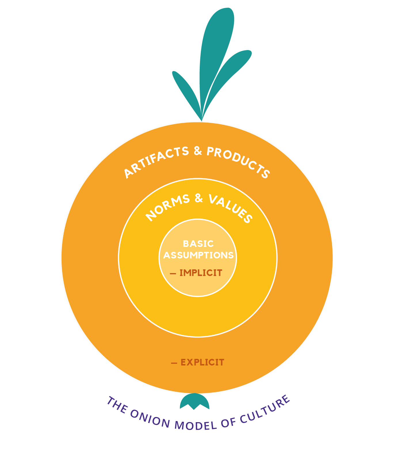 Edubook Culture & Intercultural Communication